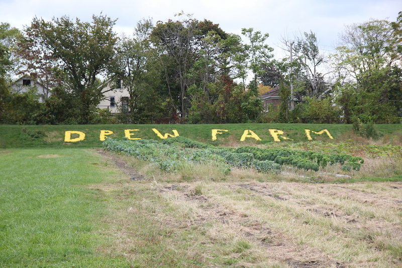 Growing Food for Detroit's Students: A Spotlight on Drew Farm ...